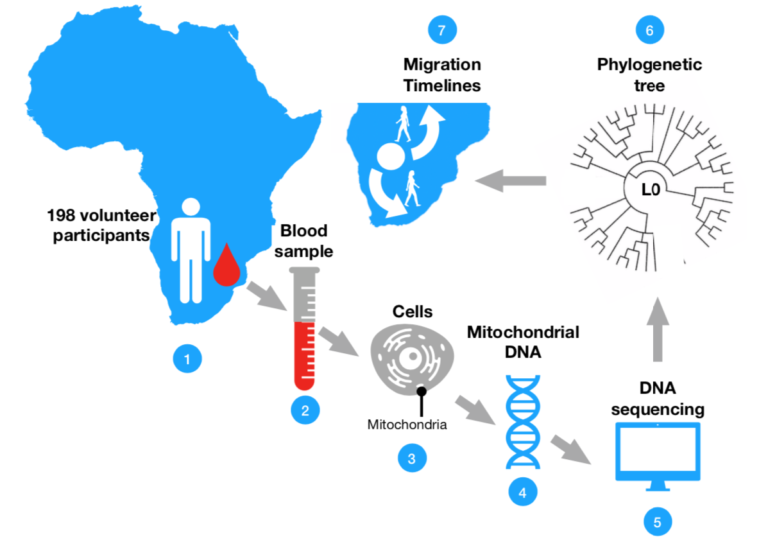 Climate shifts triggered modern humans’ first migrations out of their ...