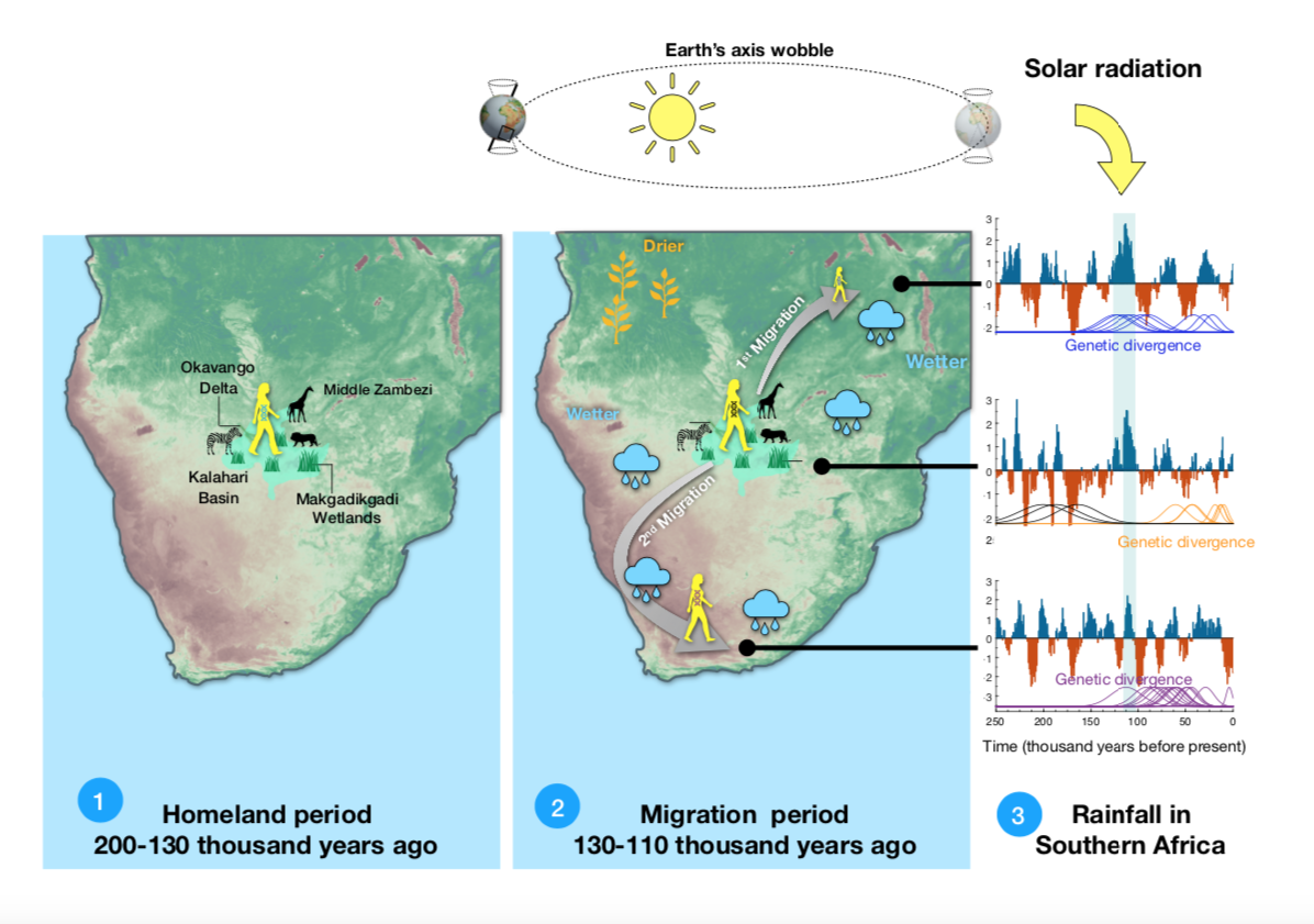 Climate shifts triggered modern humans’ first migrations out of their ...