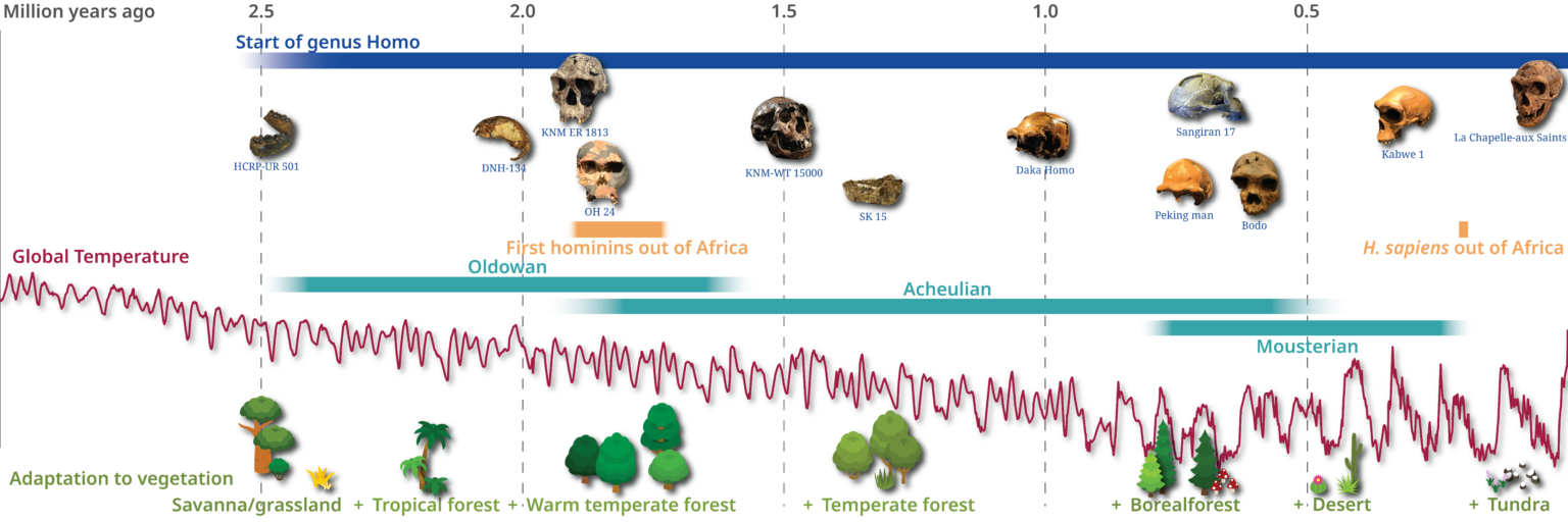 Human ancestors preferred mosaic landscapes and high ecosystem ...